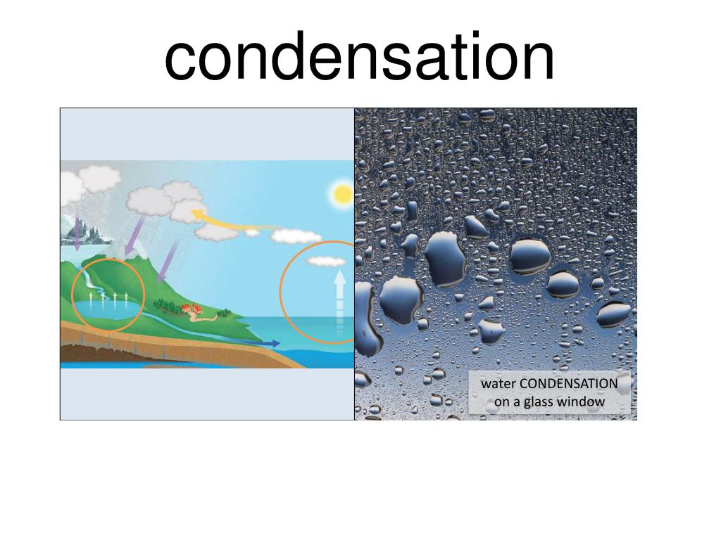 PPT - condensation PowerPoint Presentation, free download - ID:2171352