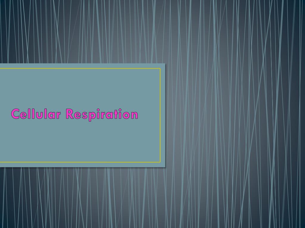 PPT - Cellular Respiration PowerPoint Presentation, free download - ID ...