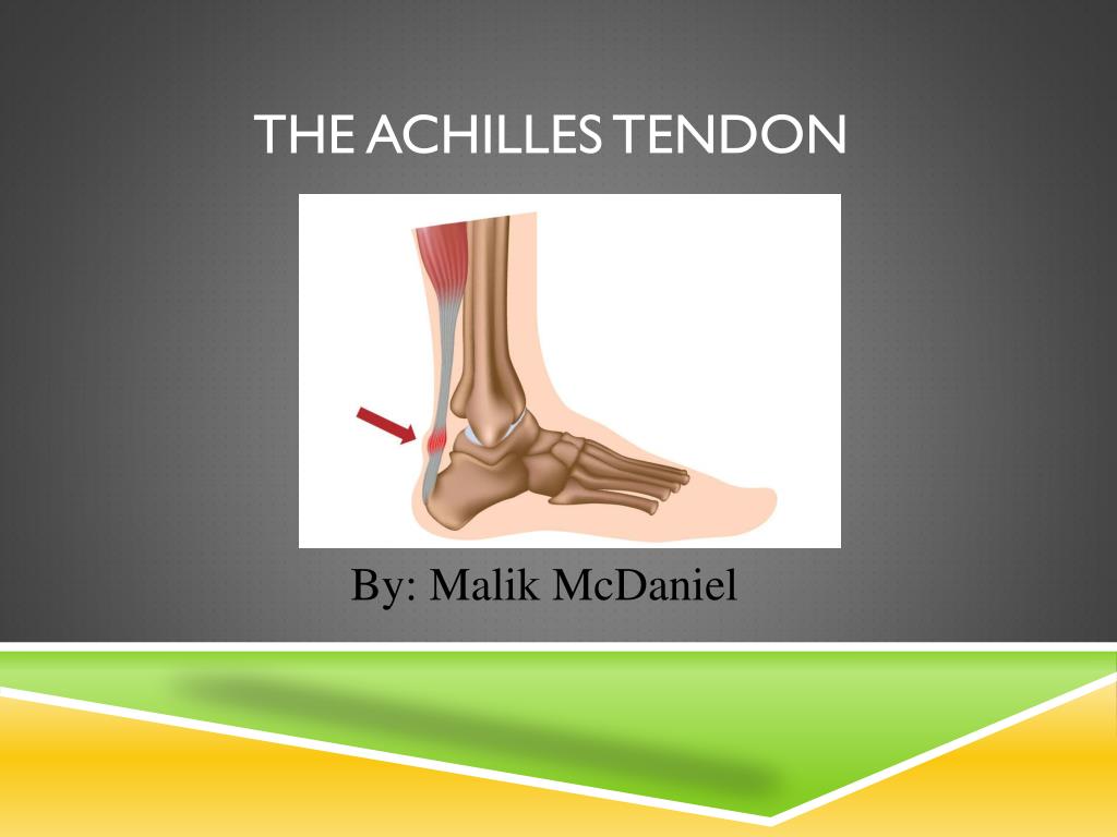 PPT - The Achilles Tendon PowerPoint Presentation, free download - ID:2171829