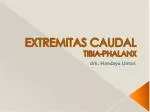 PPT - ANATOMI EXTREMITAS SUPERIOR PowerPoint Presentation, free ...