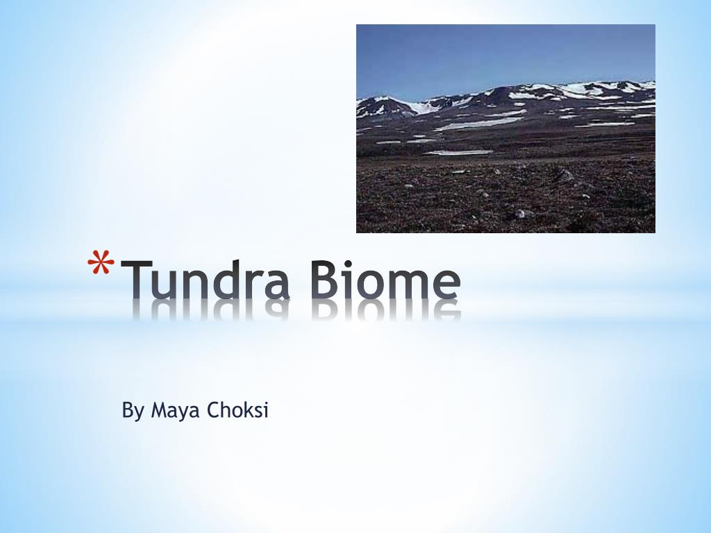 PPT - Tundra Biome PowerPoint Presentation, free download - ID:2172181