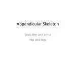 PPT - Appendicular Skeleton PowerPoint Presentation, free download - ID:2402567