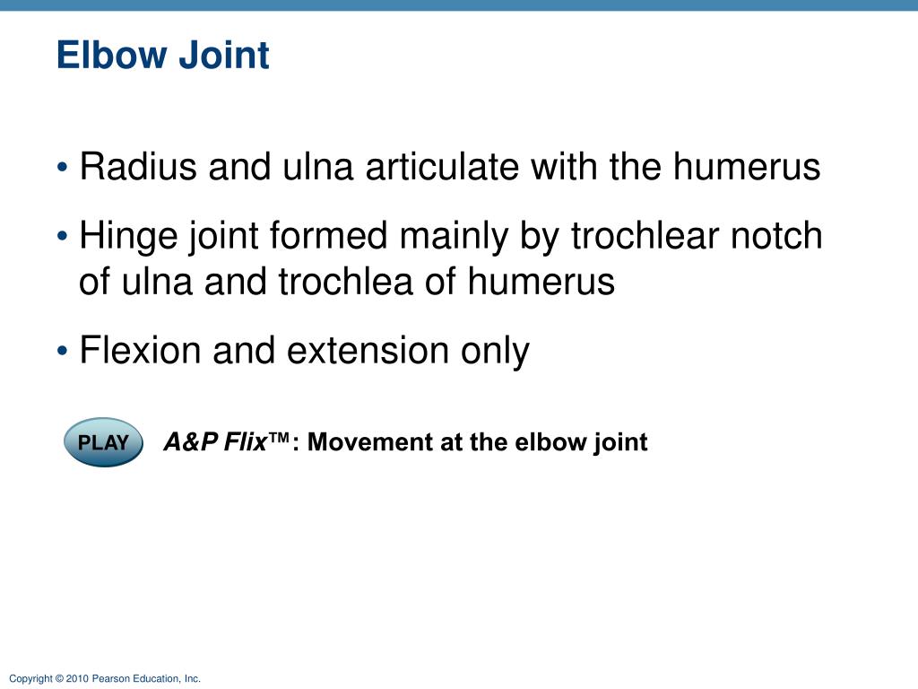 PPT - Elbow Joint PowerPoint Presentation, free download - ID:2172344