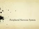 PPT - Peripheral Nervous System PowerPoint Presentation, free download ...