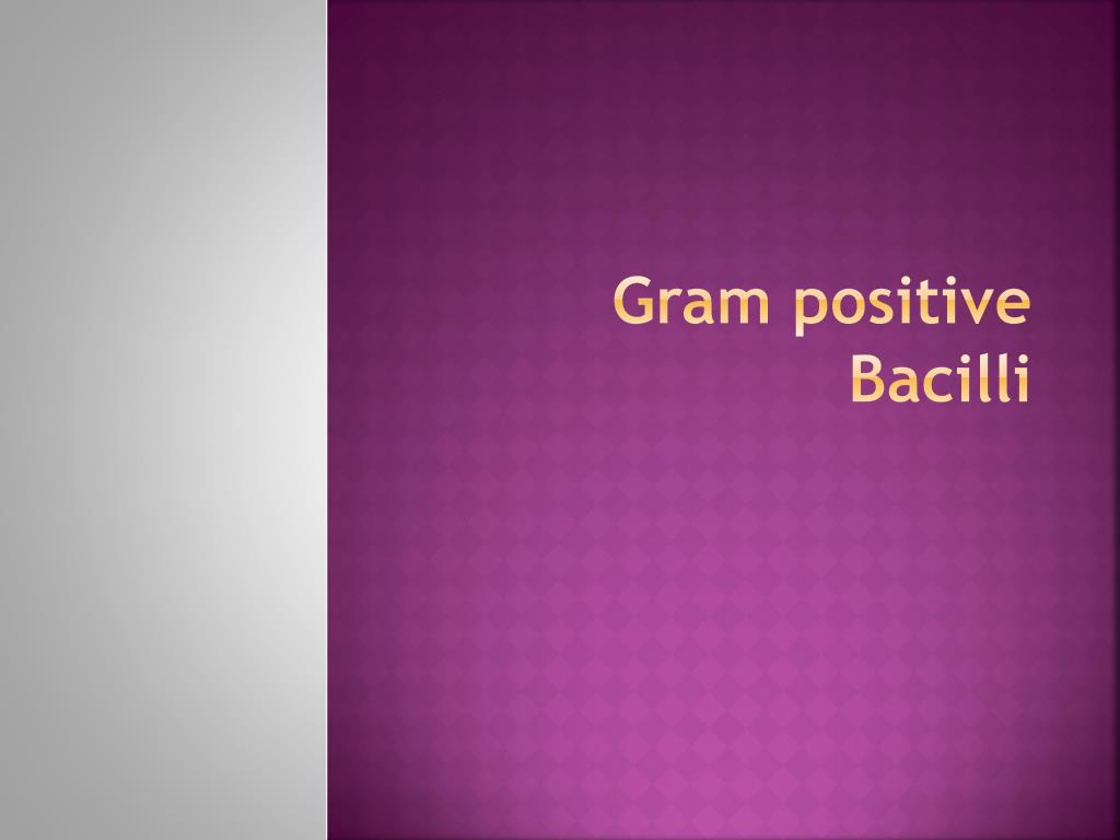 PPT - Gram positive Bacilli PowerPoint Presentation, free download - ID ...