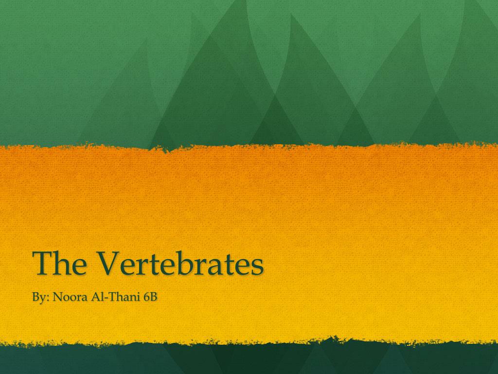 PPT - The Vertebrates PowerPoint Presentation, free download - ID:2173115