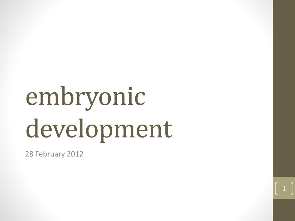 PPT - embryonic development PowerPoint Presentation, free download - ID ...