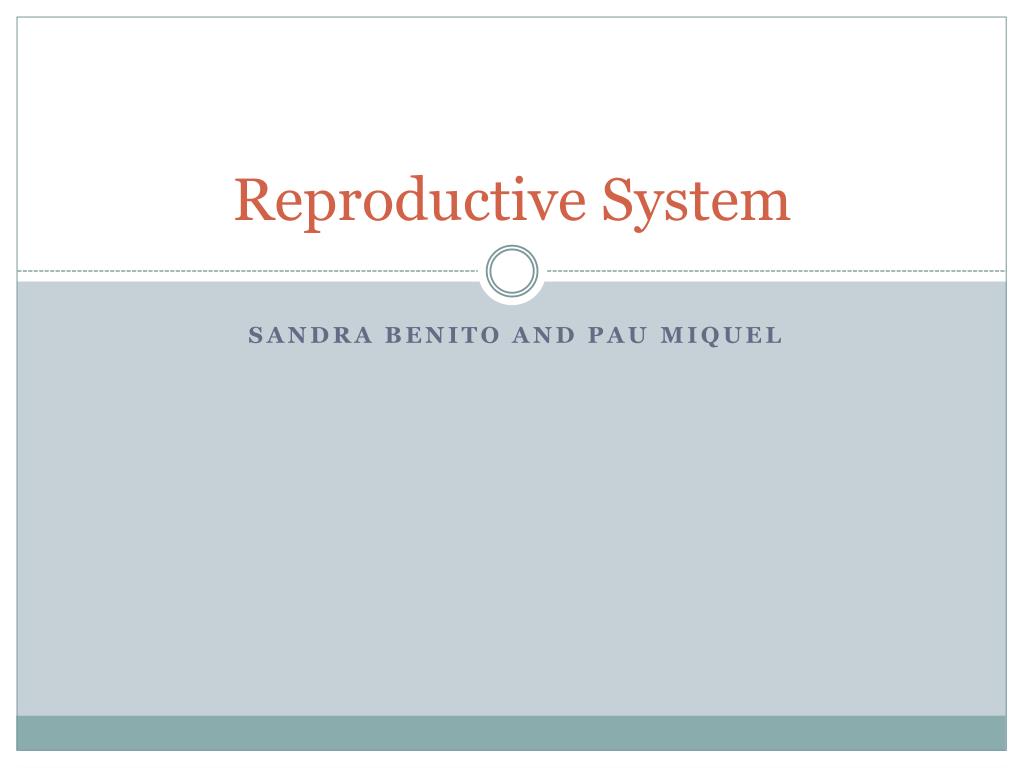 PPT - Reproductive System PowerPoint Presentation, free download - ID ...