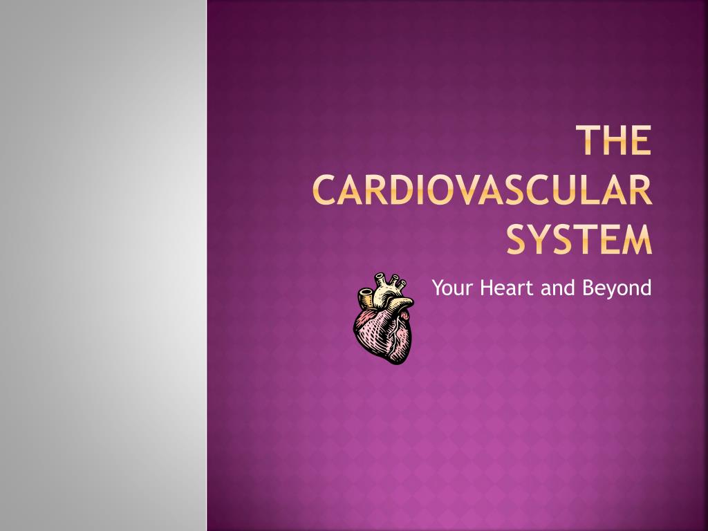 PPT - The Cardiovascular System PowerPoint Presentation, free download ...