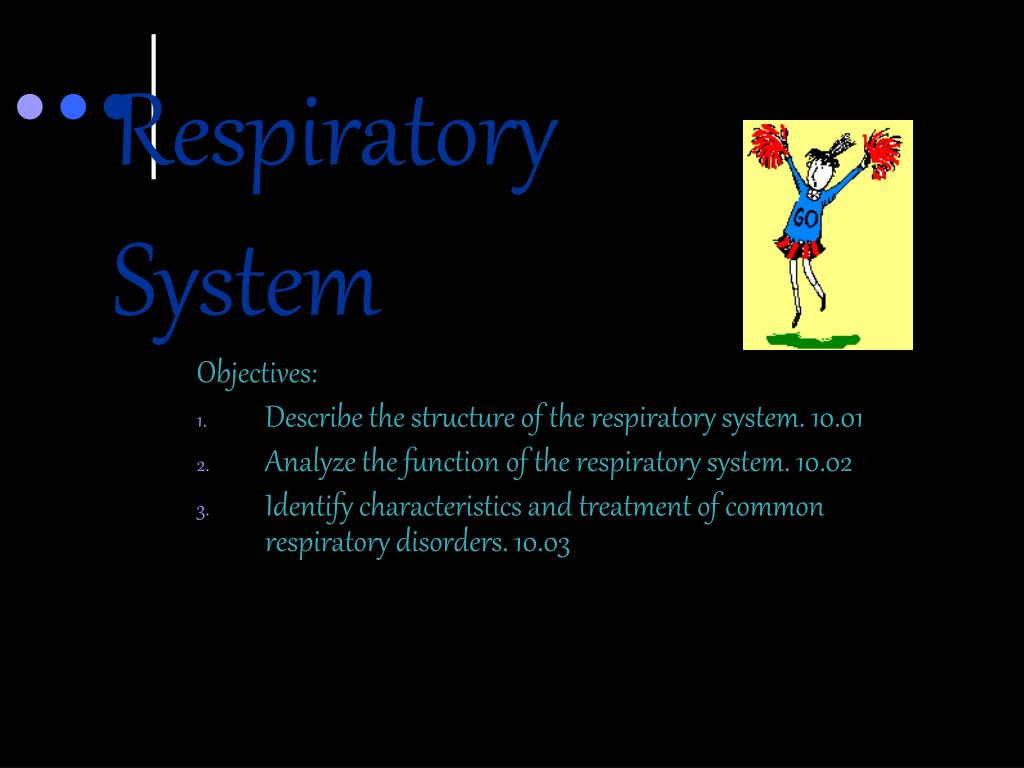 PPT - Respiratory System PowerPoint Presentation, free download - ID ...