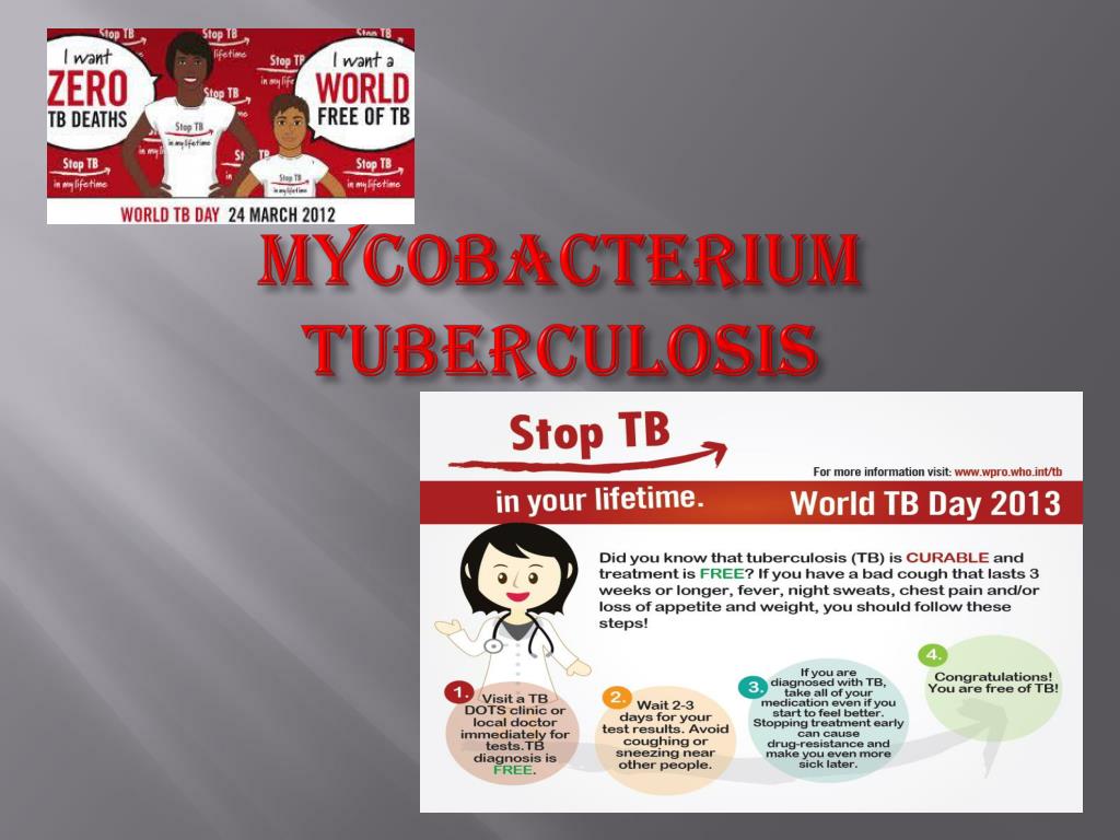 PPT - MYCOBACTERIUM TUBERCULOSIS PowerPoint Presentation, free download ...