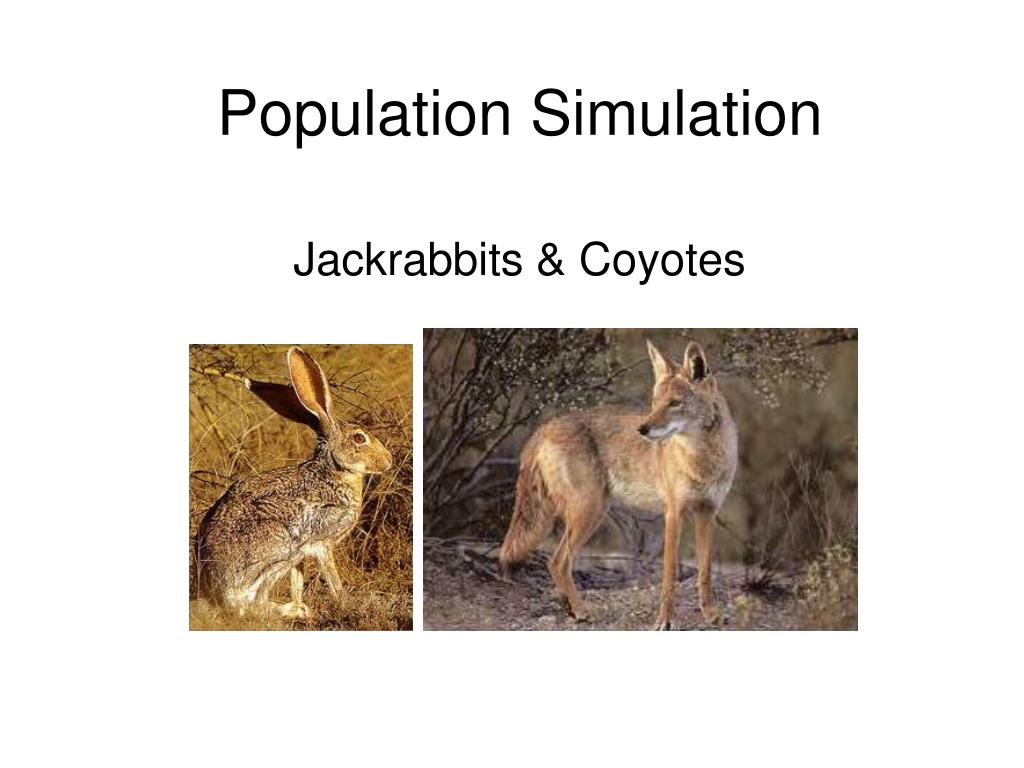 PPT - Population Simulation PowerPoint Presentation, free download - ID ...