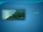 PPT - Estuary Definition and Orientation PowerPoint Presentation, free ...