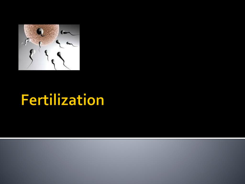 PPT - Fertilization PowerPoint Presentation, free download - ID:2178012