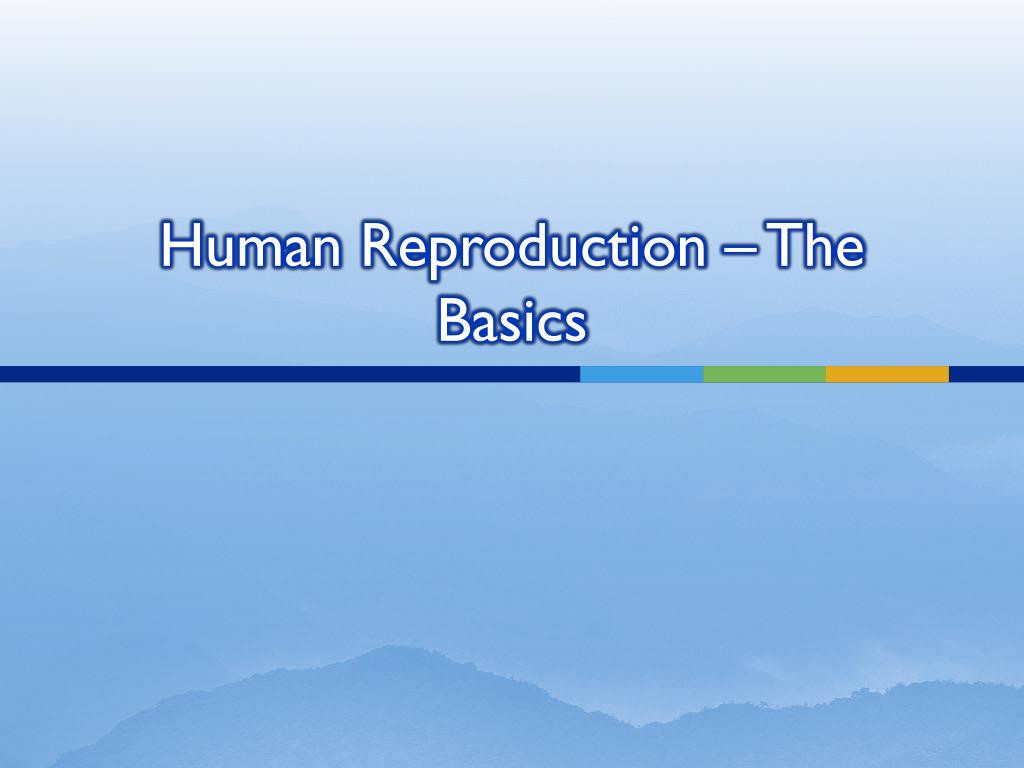 PPT - Human Reproduction – The Basics PowerPoint Presentation, free ...