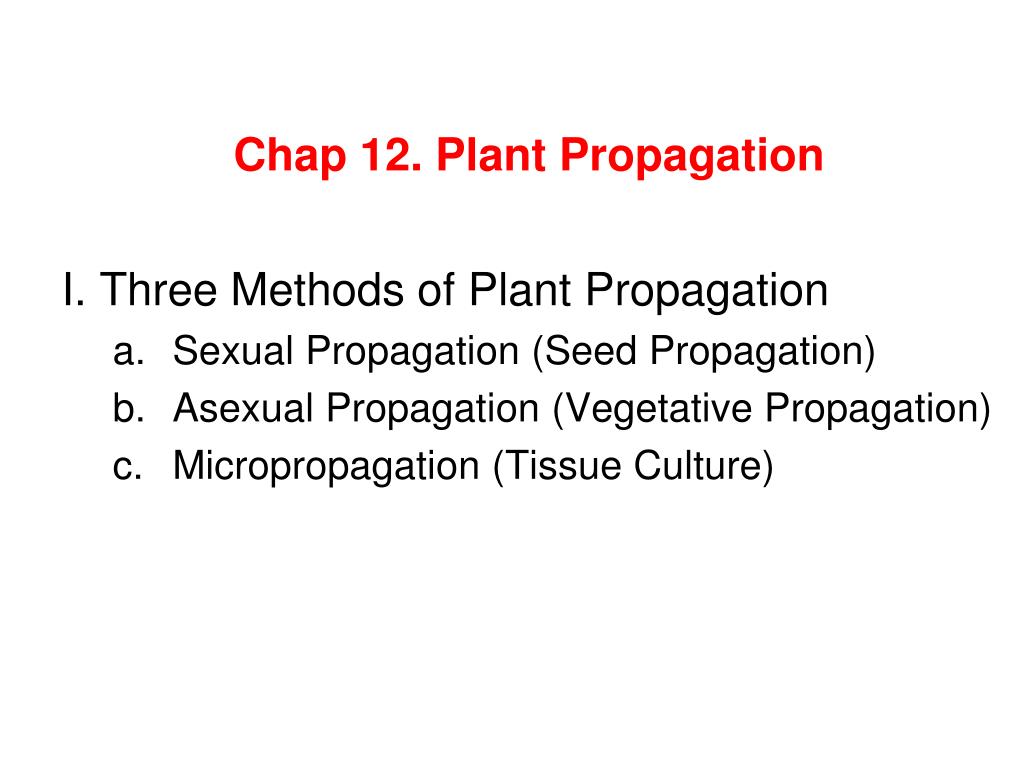 PPT - Chap 12. Plant Propagation PowerPoint Presentation, free download ...