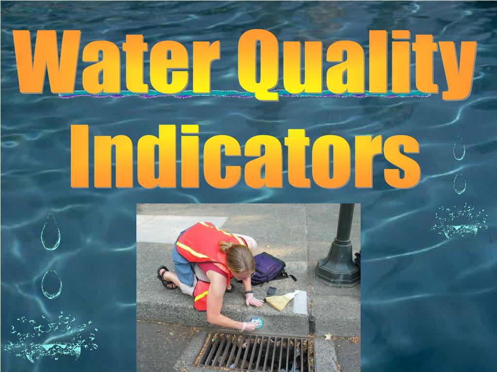 PPT - Water Quality Indicators PowerPoint Presentation, free download ...