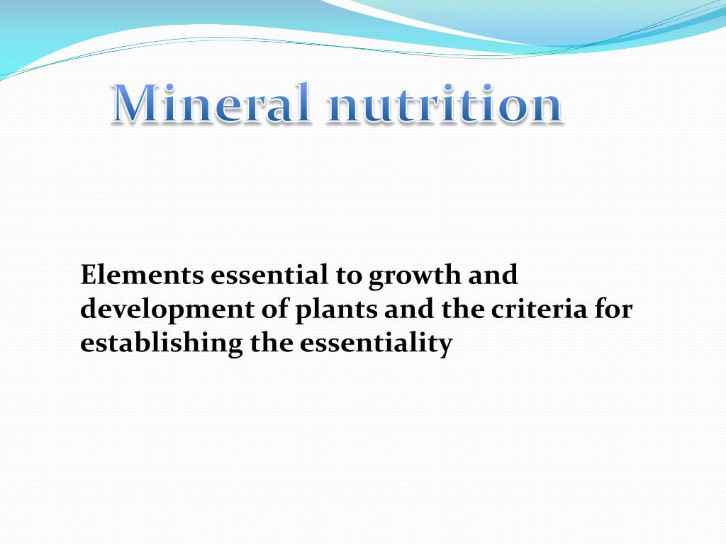 PPT - Mineral nutrition PowerPoint Presentation, free download - ID:2180205
