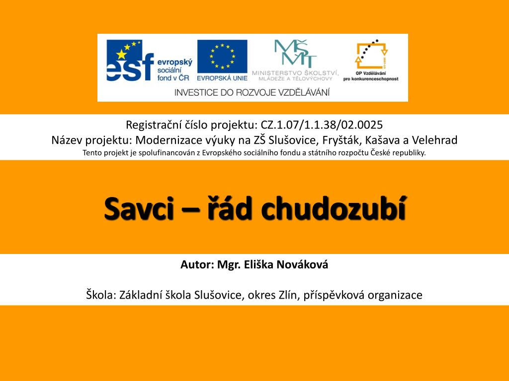 PPT - Savci – řád chudozubí PowerPoint Presentation, free download - ID ...