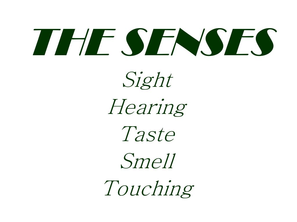 PPT - THE SENSES PowerPoint Presentation, free download - ID:2181738