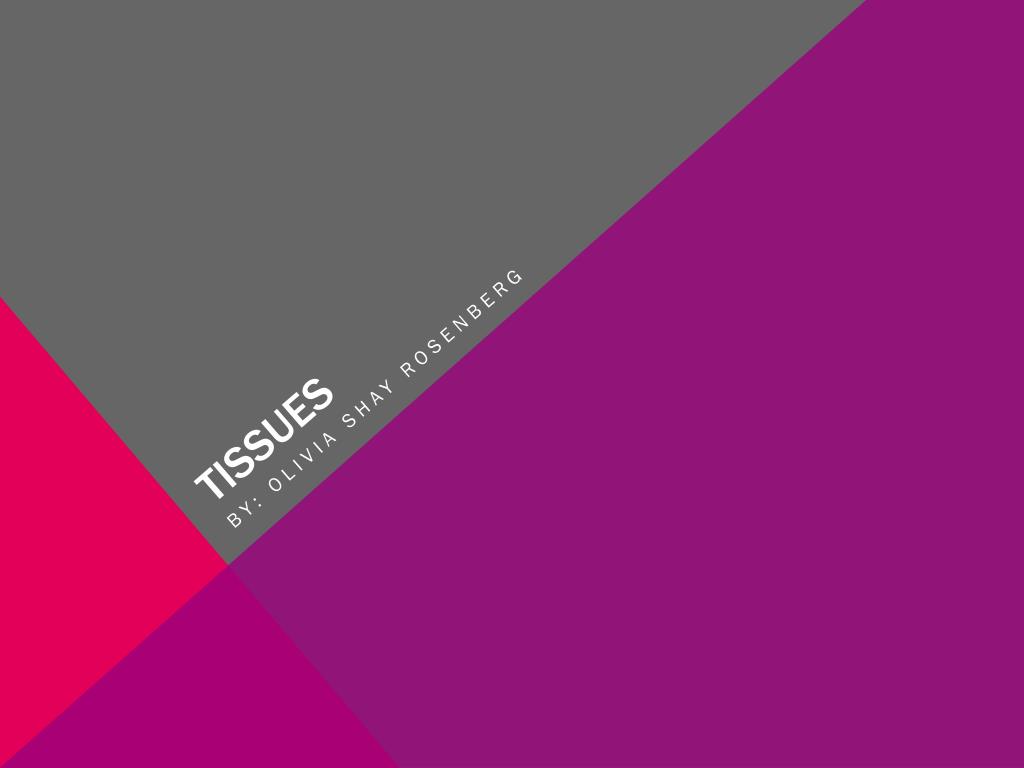 PPT - Tissues PowerPoint Presentation, free download - ID:2182140