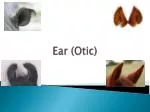 PPT - OPHTALMIC, NASAL & OTIC PREPARATIONS PowerPoint Presentation - ID ...