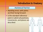 PPT - Anatomical Position, Directions, Regions , Planes, Cavities ...