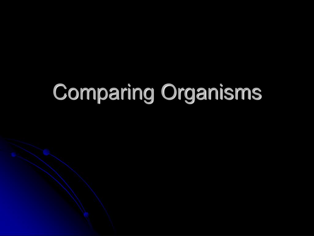PPT - Comparing Organisms PowerPoint Presentation, free download - ID ...