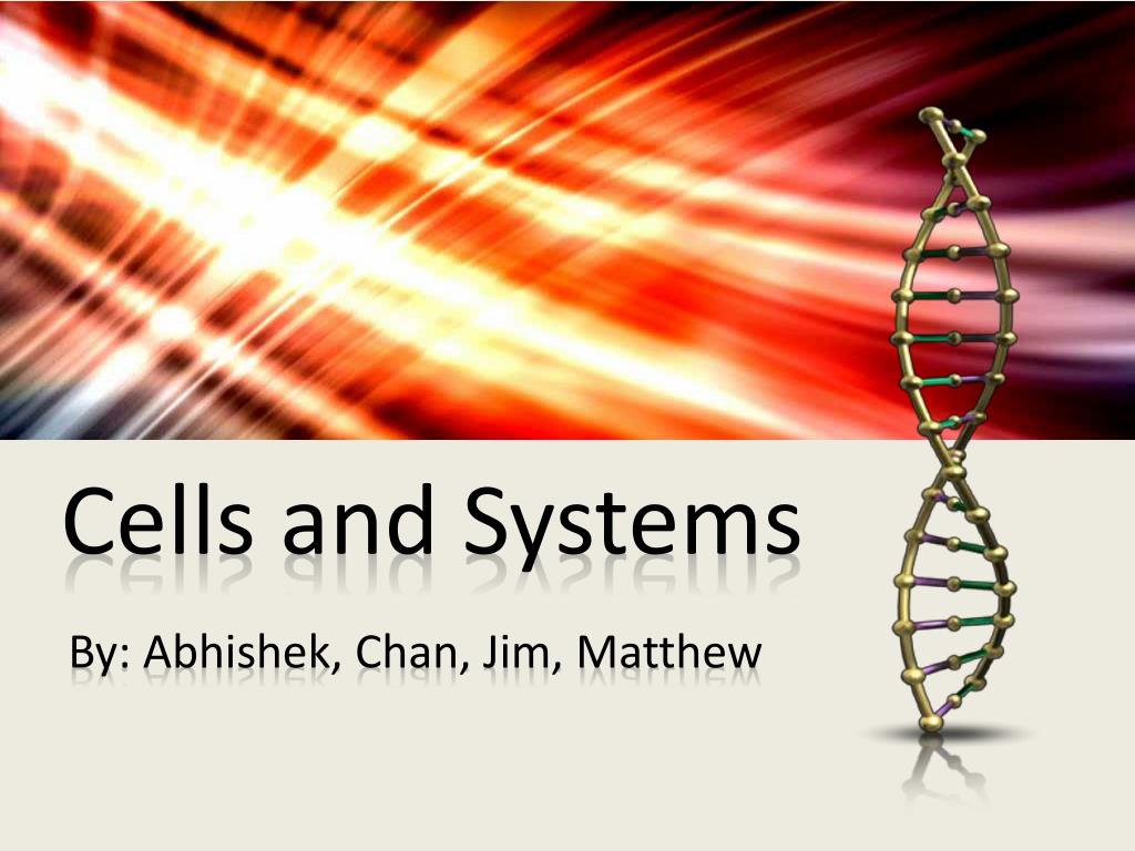 PPT - Cells and Systems PowerPoint Presentation, free download - ID:2186023