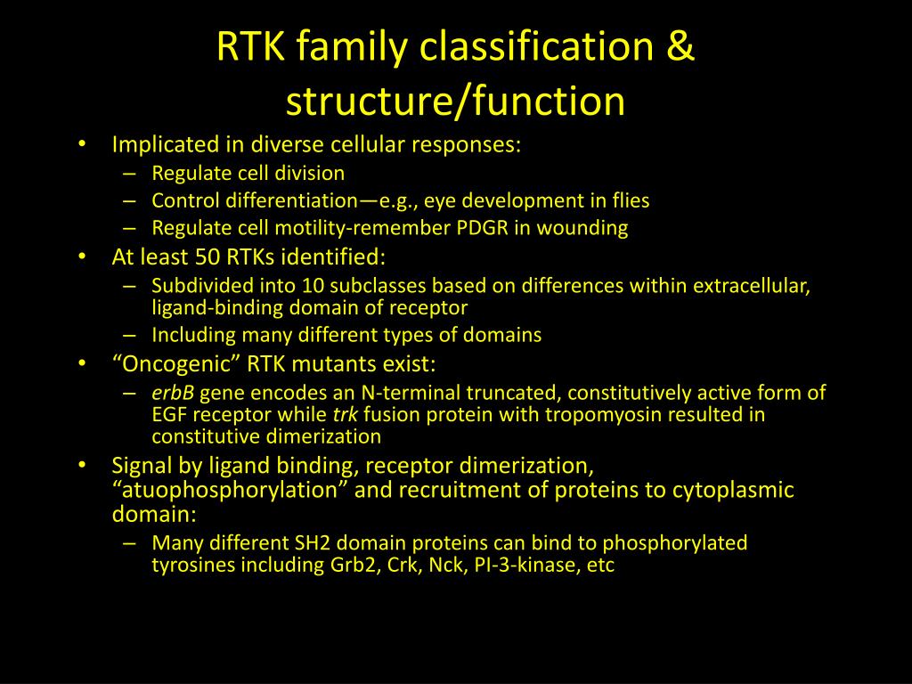 PPT - RTK family classification & structure/function PowerPoint ...