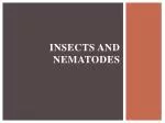 PPT - Insects and pests PowerPoint Presentation, free download - ID:664359