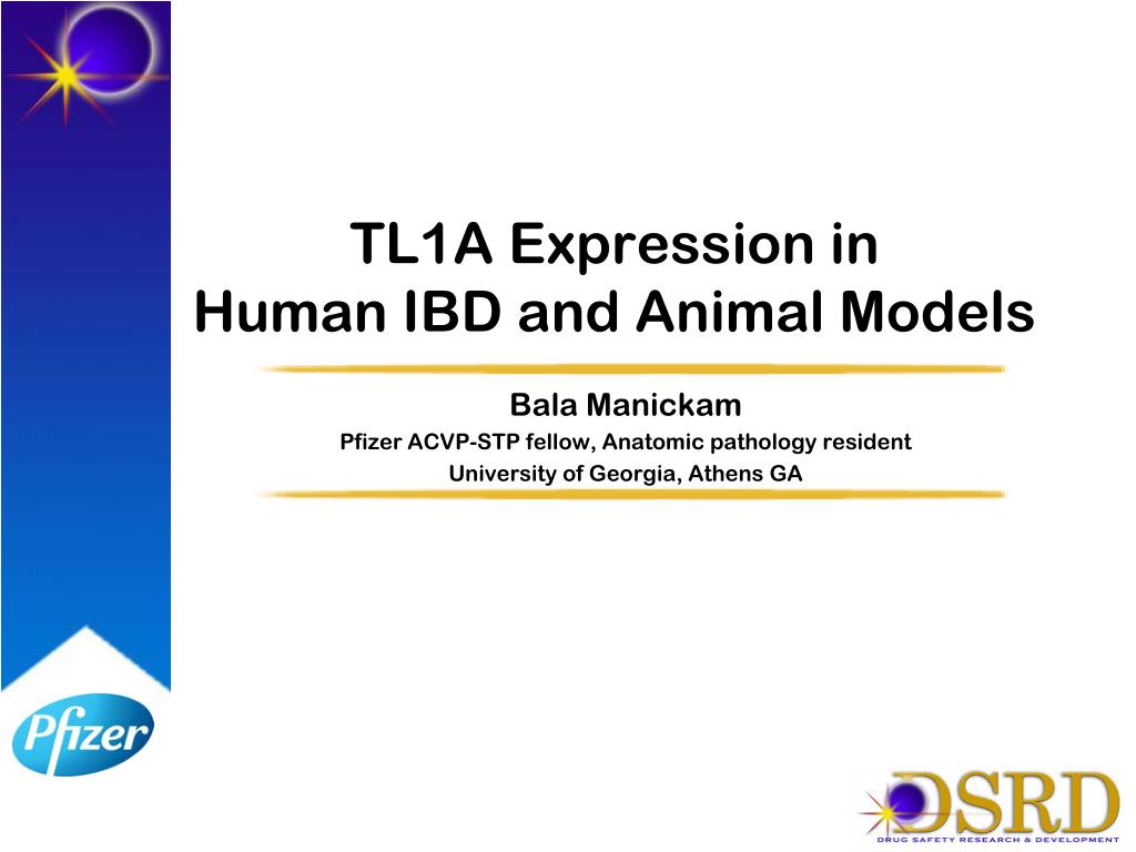 PPT - TL1A Expression in Human IBD and Animal Models PowerPoint ...