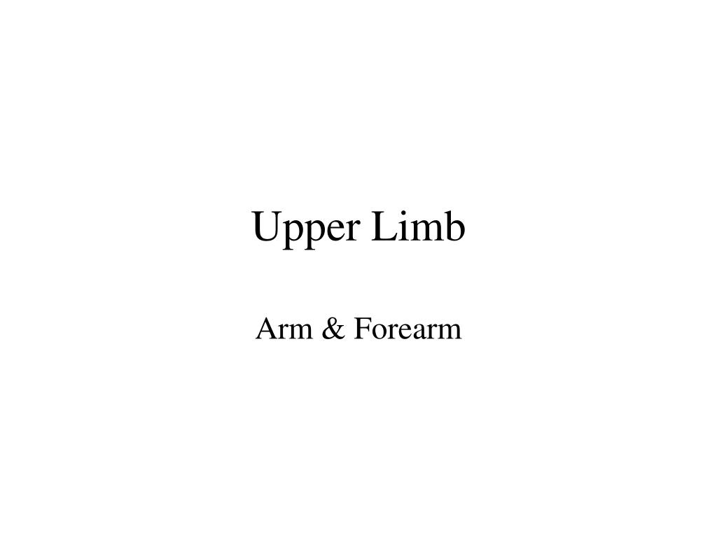 PPT - Upper Limb PowerPoint Presentation, free download - ID:2188504