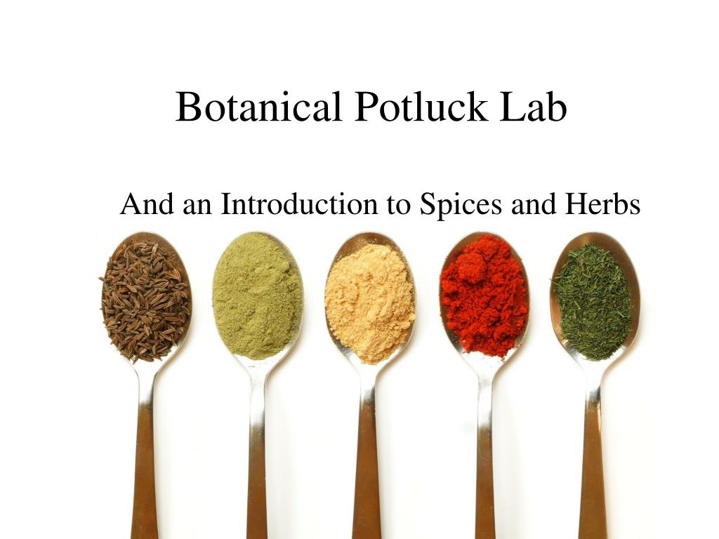 PPT - Botanical Potluck Lab PowerPoint Presentation, free download - ID ...