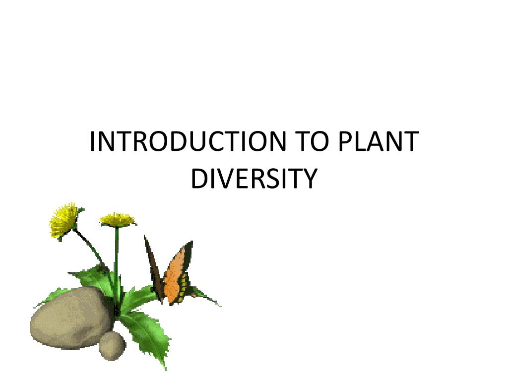 PPT - INTRODUCTION TO PLANT DIVERSITY PowerPoint Presentation, free ...