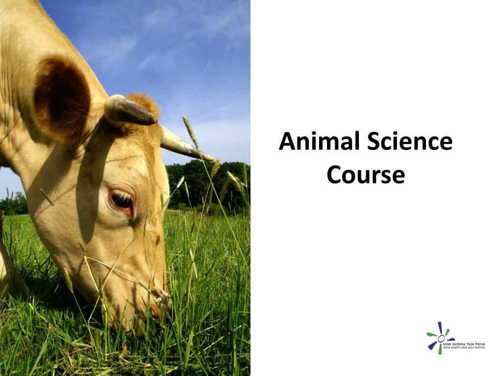 PPT - Animal Science Course PowerPoint Presentation, free download - ID ...