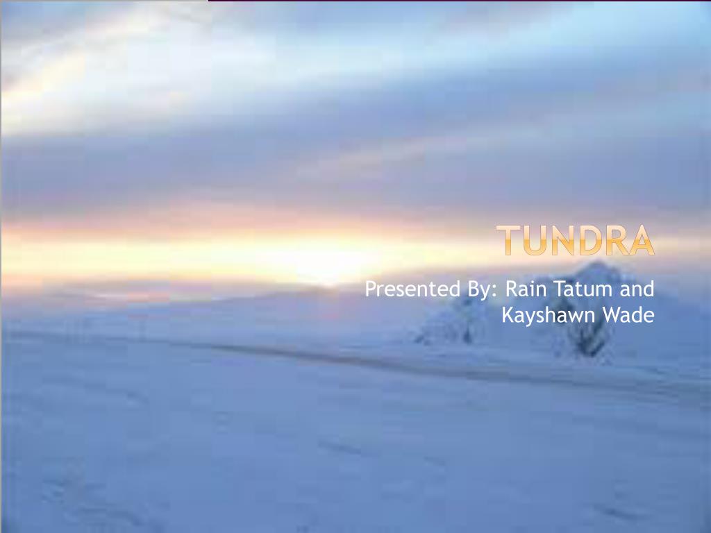 PPT - Tundra PowerPoint Presentation, free download - ID:2192291