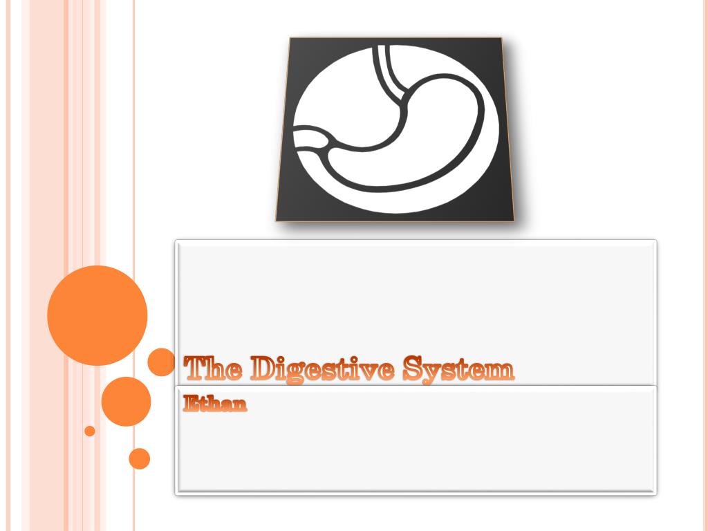 PPT - The Digestive System PowerPoint Presentation, free download - ID ...