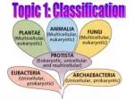 PPT - An international evidence-based classification of IgA nephropathy ...