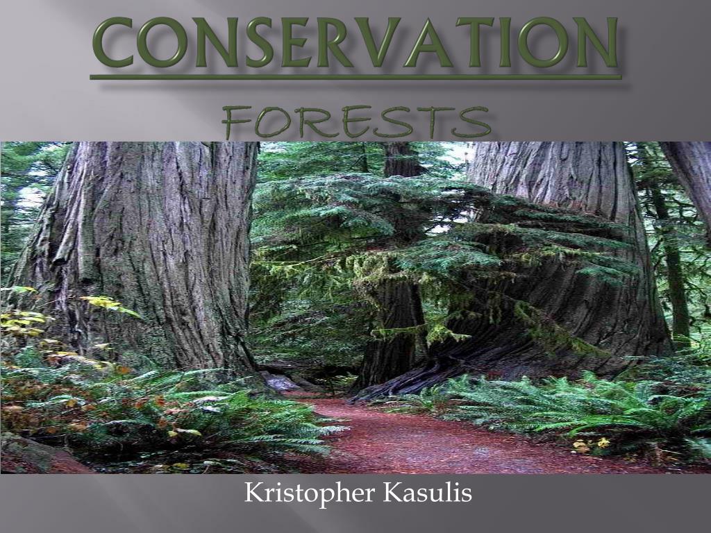 PPT - Conservation forests PowerPoint Presentation, free download - ID ...