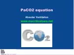 PPT - Basic Human Needs Oxygenation Ventilation/Perfusion PowerPoint ...