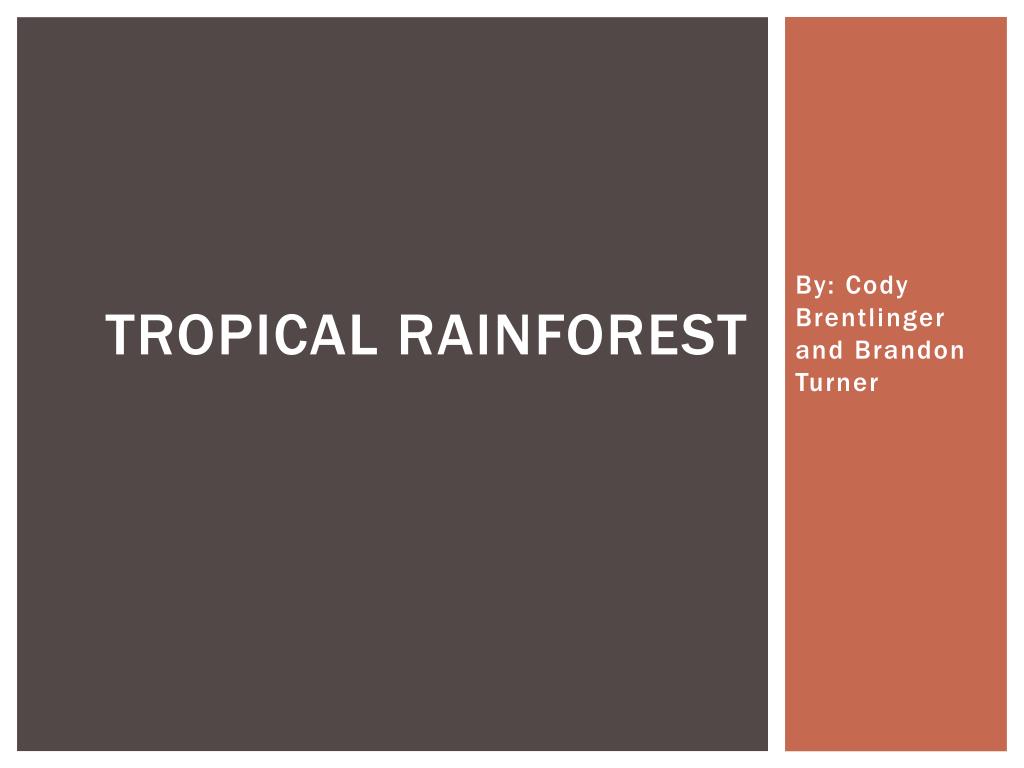PPT - Tropical Rainforest PowerPoint Presentation, free download - ID ...