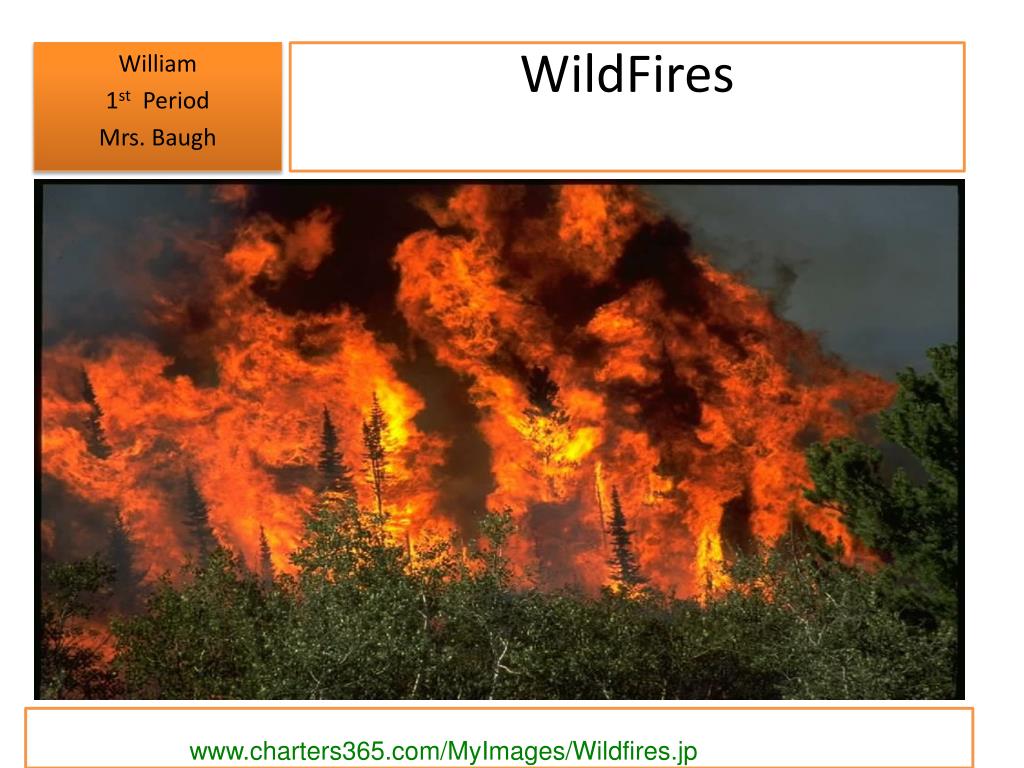 PPT - WildFires PowerPoint Presentation, free download - ID:2195949