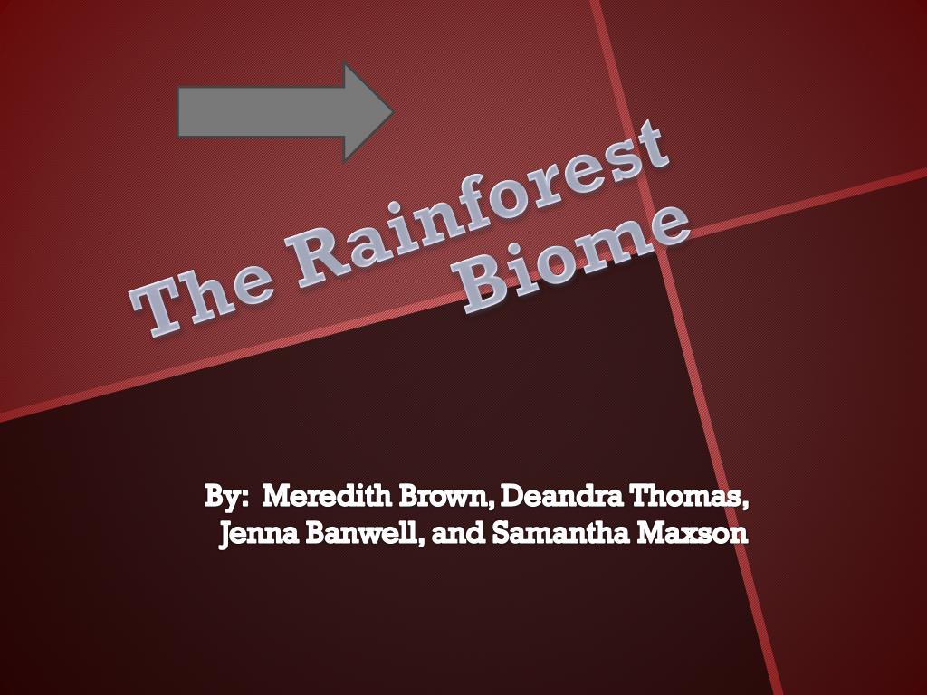 PPT - The Rainforest Biome PowerPoint Presentation, free download - ID ...