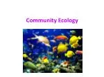 PPT - Community Ecology PowerPoint Presentation, free download - ID:7061417
