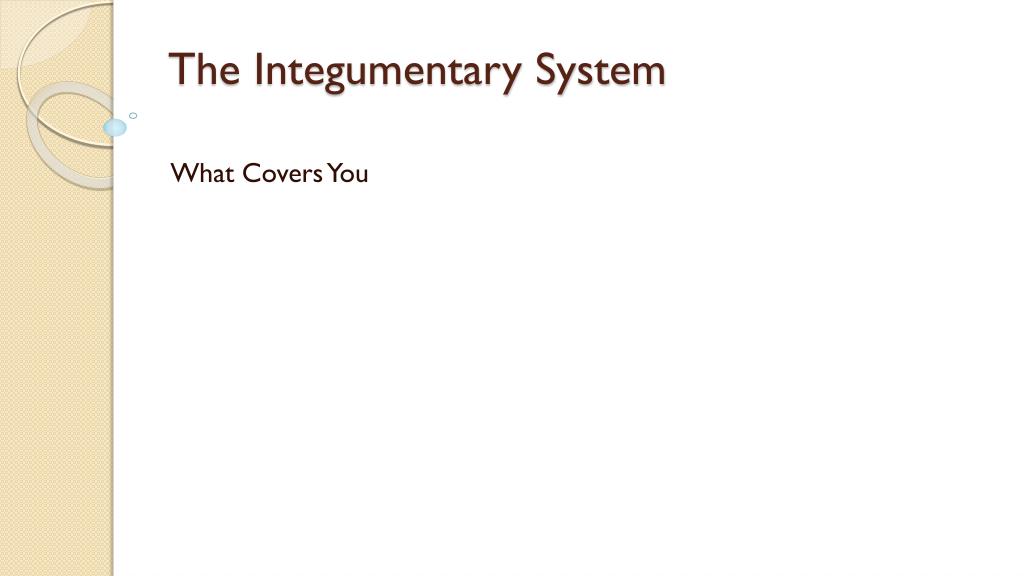 PPT - The Integumentary System PowerPoint Presentation, free download ...