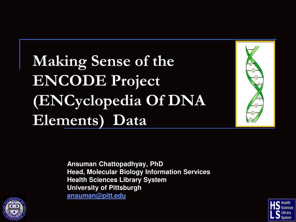PPT - Making Sense of the ENCODE Project ( ENCyclopedia Of DNA Elements ...