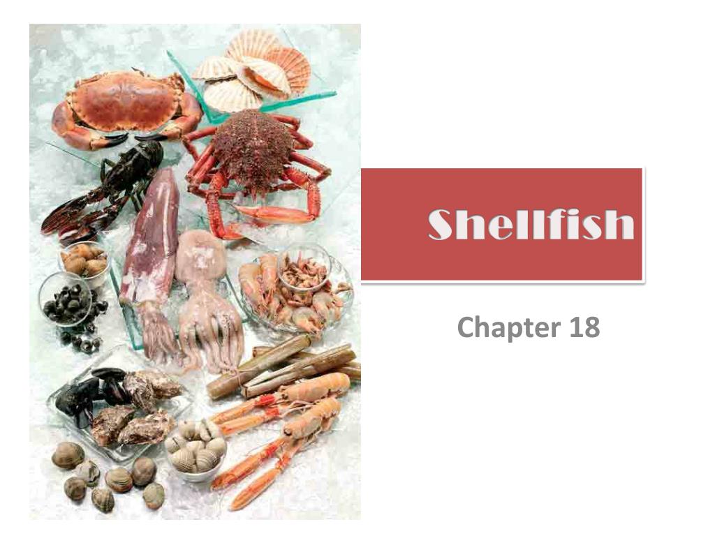 PPT - Shellfish PowerPoint Presentation, free download - ID:2200805