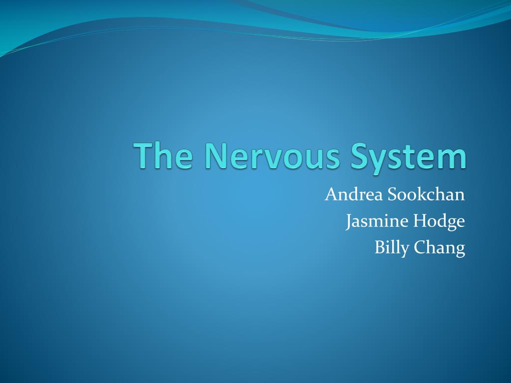 PPT - The Nervous System PowerPoint Presentation, free download - ID ...