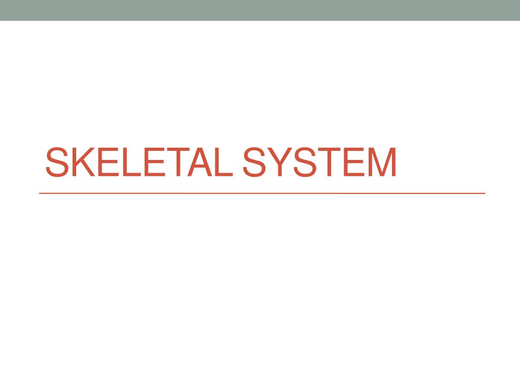 PPT - Skeletal System PowerPoint Presentation, free download - ID:2201533
